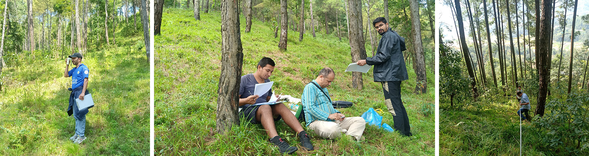 Active and Equitable Forest Management - Enhancing Livelihoods and Food ...